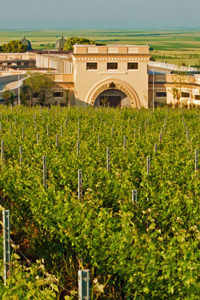 Domeniul Coroanei Segarcea